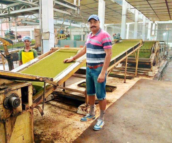 How I contributed to Apeejay Tea Factory Star Awards that value service ...