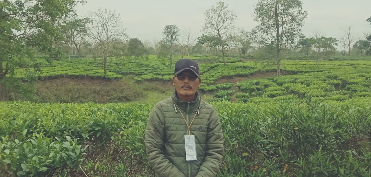 Apeejay People in a VUCA world gone worse! – APEEJAY BLOGS